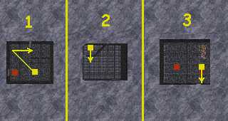 The Painting (Castle Wayrest)