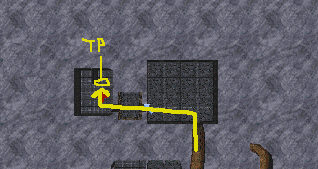 The Painting (Castle Wayrest)